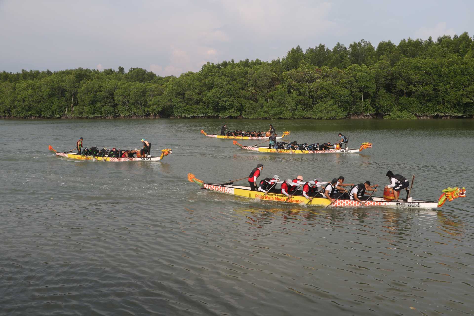 Perahu Tradisional (Dragon Boat) - Persatuan Kanu Negeri Selangor (SCAN)